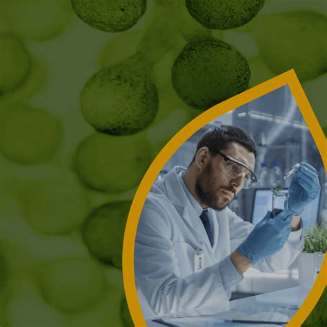 Seeking Novel Microalgae Strains Extracts And Byproducts For