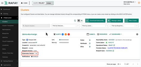 amazon eks v1 25 using rafay rafay product documentation