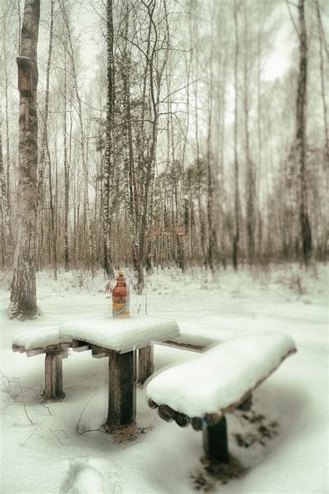 В диапазоне пляшущей струны.. on Behance