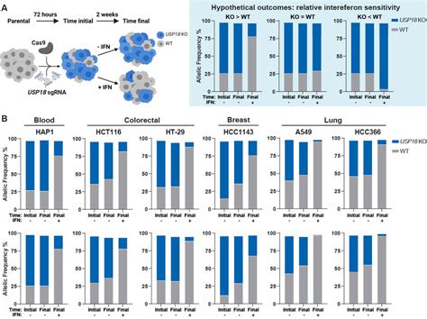 Electroporation Buffer Maxcyte Bioz