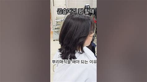 곱슬머리 펌 할때 뿌리매직 해야 되는 이유 Youtube