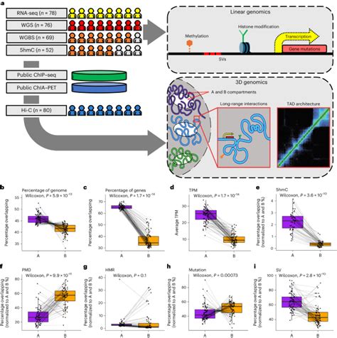 Integrated Analyses Highlight Interactions Between The Three Dimensional Genome And Dna Rna And