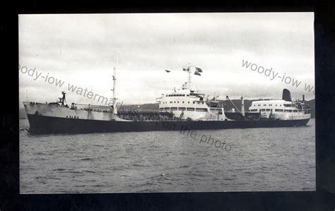 Ta1976 Shell Oil Tanker Axina Built 1958 Photograph 55 X 35