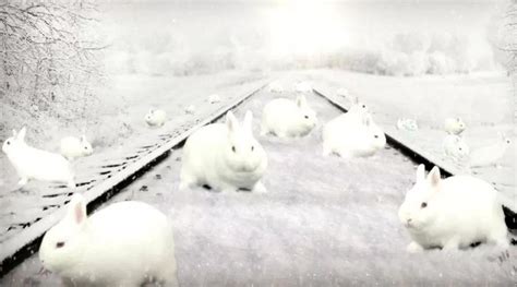 இந்த படத்துல எத்தனை முயல் இருக்கு 10 நொடிகளில் கண்டுபிடிச்சா நீங்க பலே கில்லாடி