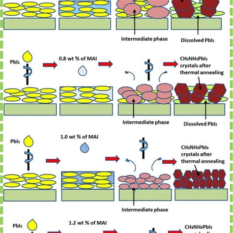 A Schematic Diagram Of The Processing Model For The Formation Of