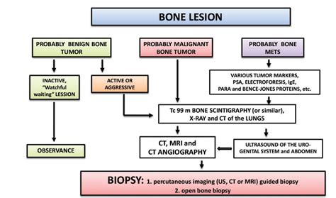 Standard Protocol In Bone Lesion Diagnosis Download Scientific Diagram