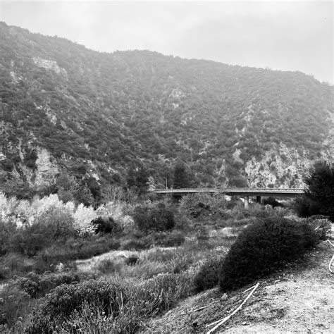 Decayed Leaves Part 1 Darkened Crown