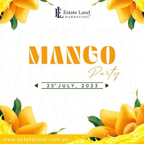 Faiqa Noor On Linkedin 💛💛