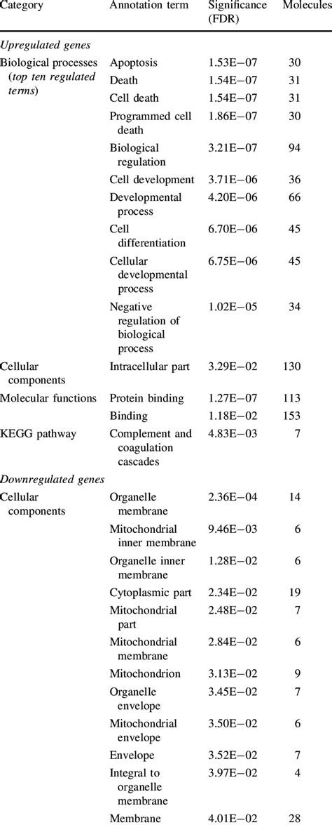 Functional Annotation Analysis David For Up And Downregulated Genes