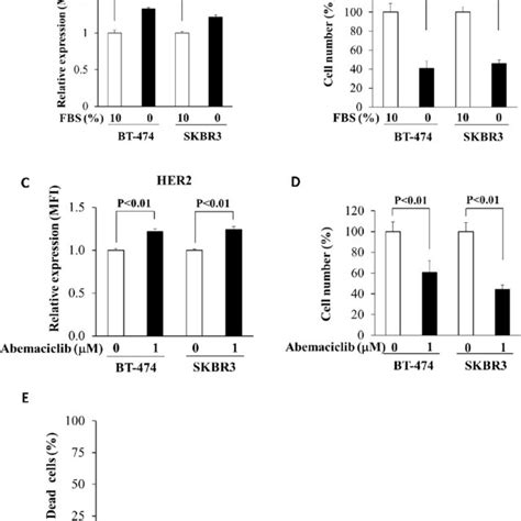 Breast Cancer Quiescence Induction And Cell Surface Her2 Expression