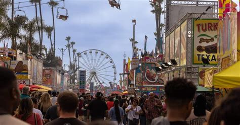 More Than 560 Items Turned Into San Diego County Fairs Lost And Found