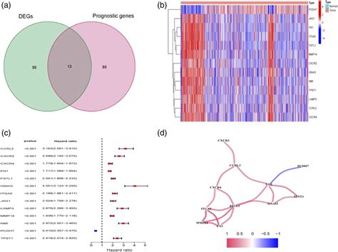 Filtering Of Discrepant Prognostic Inflammatory Response Related Genes Download Scientific