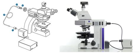 Microscope Led Light Sources High Power And Multi Wavelength Mightex