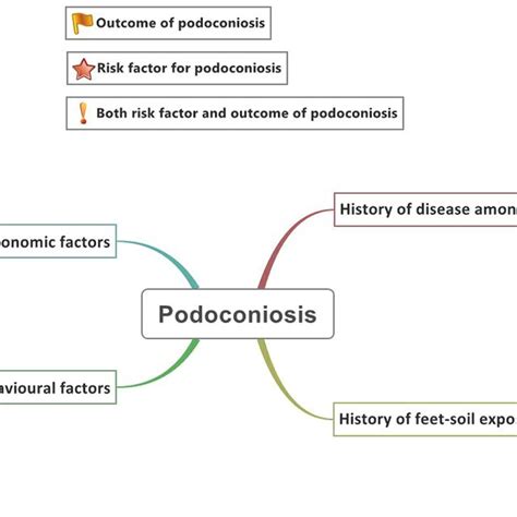 Conceptual Framework Describing The Potential Relationships Between Download Scientific Diagram