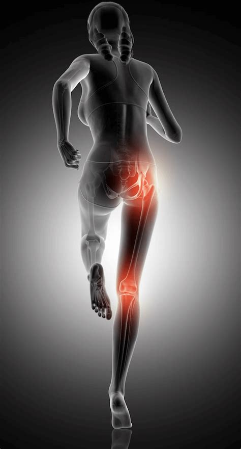 Artrocinematica E Osteocinematica Nella Postura Durante Lallenamento