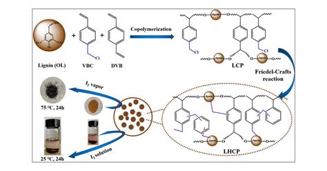 Construction Of Microporous Lignin Based Hypercross Linked Polymers With High Surface Areas For