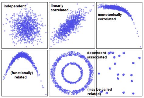 terminology association relationship and correlation cross validated