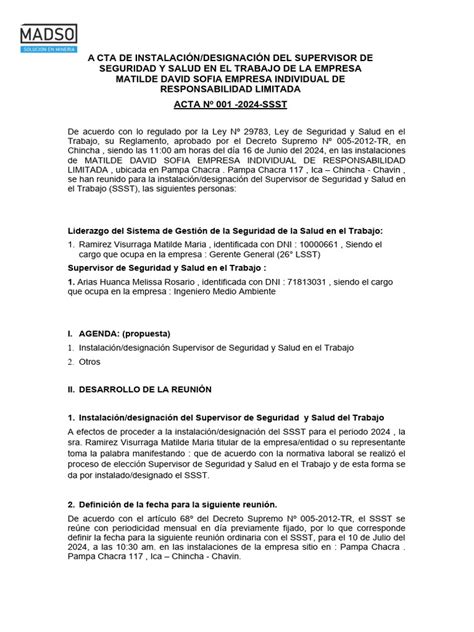 Modelo De Acta De Supervisor Comite Sst Pdf Gobierno