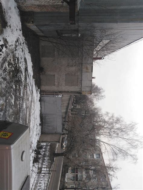 This Russian Daddy U Lil Younitaz