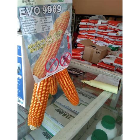 Evo 1401 710 And Evo 9989 Corn Seed Evogene Shopee Philippines