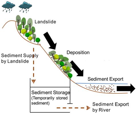 Investigating Sediment Dynamics In A Landslide Dominated Catchment By