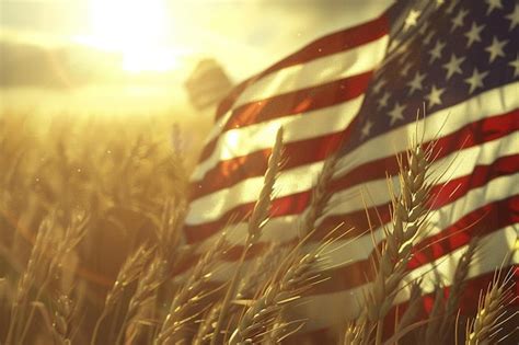 Premium Photo American Flag With A Field Of Wheat