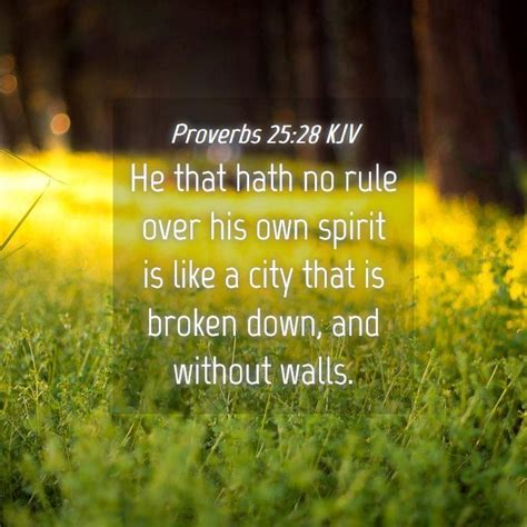 Proverbs 2528 Kjv Bible Verse Images