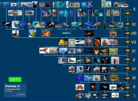 Evolution Tree But Real Rdeeeepio