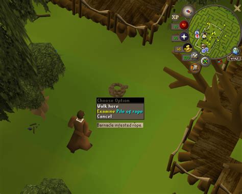 Theres A Barnacle Infested Pile Of Rope In The Middle Of Tree Gnome