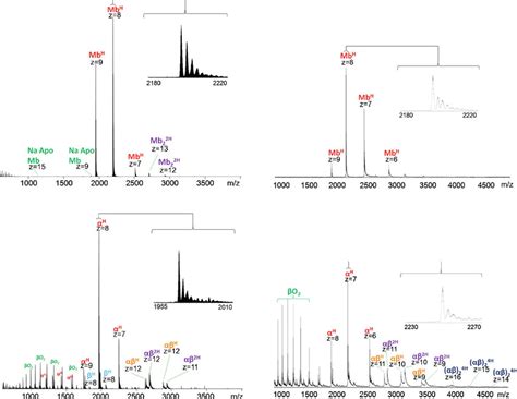 Direct Infusion Native Esi Mass Spectra Of A Myoglobin Obtained With
