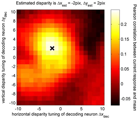 Response Of The Population Of Disparity Decoders Before Rectification