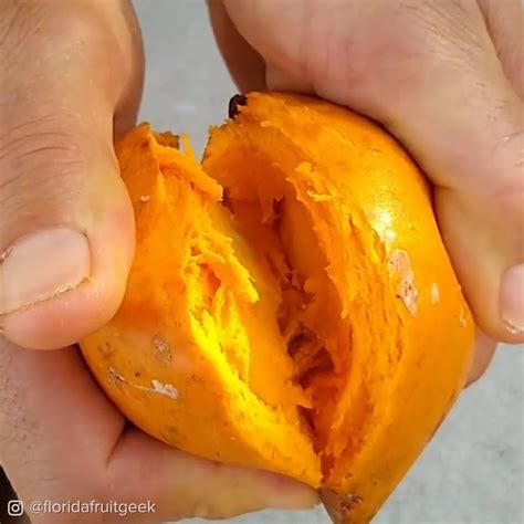 Fruit Porn Why Is This Fruit So Sensual By Buzzfeed Video