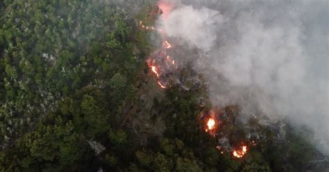 Chubut Ofrece 5 Millones Para Quien Brinde Datos De Los Autores Del Incendio Del Parque