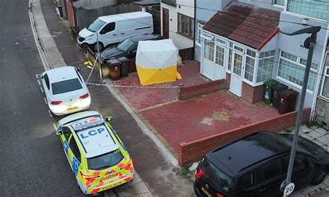 Taryn Kaur Pedler All Their Latest Coverage Daily Mail Online