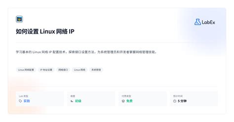 如何设置 Linux 网络 Ip Labex