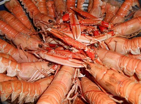 小龍蝦為何常見麻辣口味？老饕吐「暗黑真相」 台人全認 新奇 Nownews今日新聞