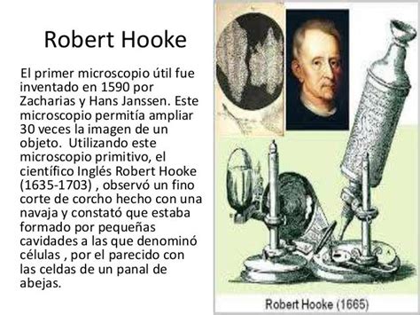 Quien Fue Robert Hooke Y Cual Fue Su Aporte A La Celula Dzvzch