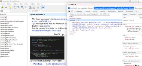 Debug Dictionary JS GoldenDict Ng