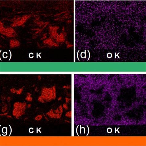 Elemental Mapping Si C O F P Cross Sectional Images Collected