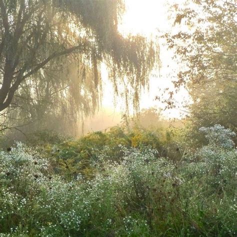 Pin By Цомк On M Take Me Far Away From This Place Nature Aesthetic Beautiful Nature Scenery