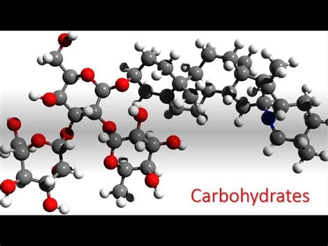 Carbohydrate Molecule Model Carbohydrates Chemistry Images Browse