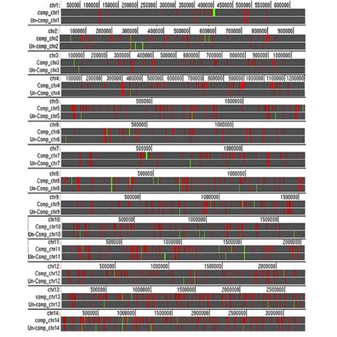 Physical Map Of Genes With Antisense Transcripts Colored Vertical