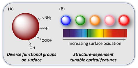 Carbon Quantum Dots The Role Of Surface Functional Groups And Proposed