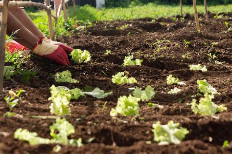 Demeter Certification Qima