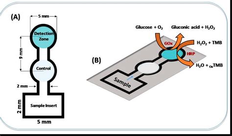 Draw A Cartoon That Clearly Shows How A Colorimetric Paper Based