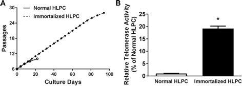 Relative Telomerase Activity Of Normal And Immortalized Human Lung
