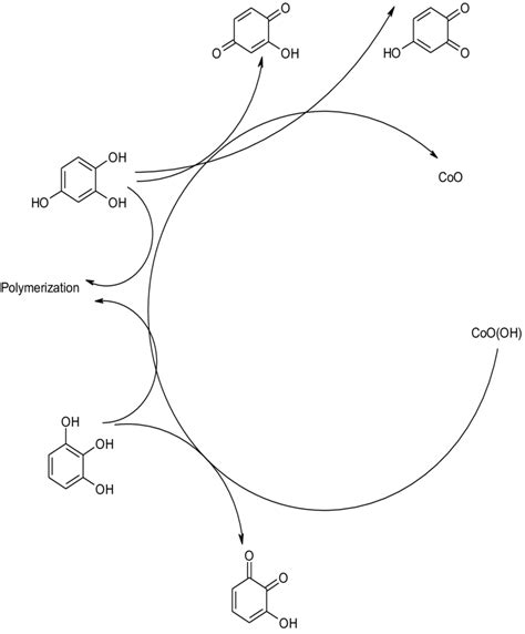 The Schematic Representation Of Electroanalytical Process Download Scientific Diagram