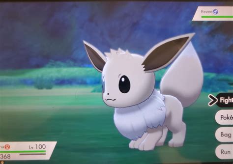 Shiny Eevee Your Ultimate Guide To Catching This Rare Pokmon