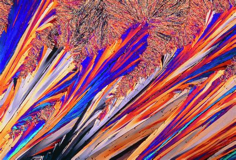 Plm Of Crystals Of Testosterone Photograph By Sidney Mouldsscience