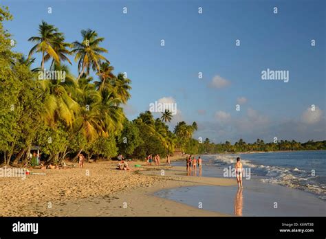 France Martinique French West Indies Sainte Anne Beach Of The